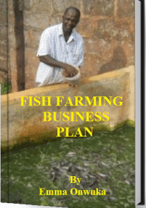Fish Farming business Plan (Sample) – Nigeria Resource Hub